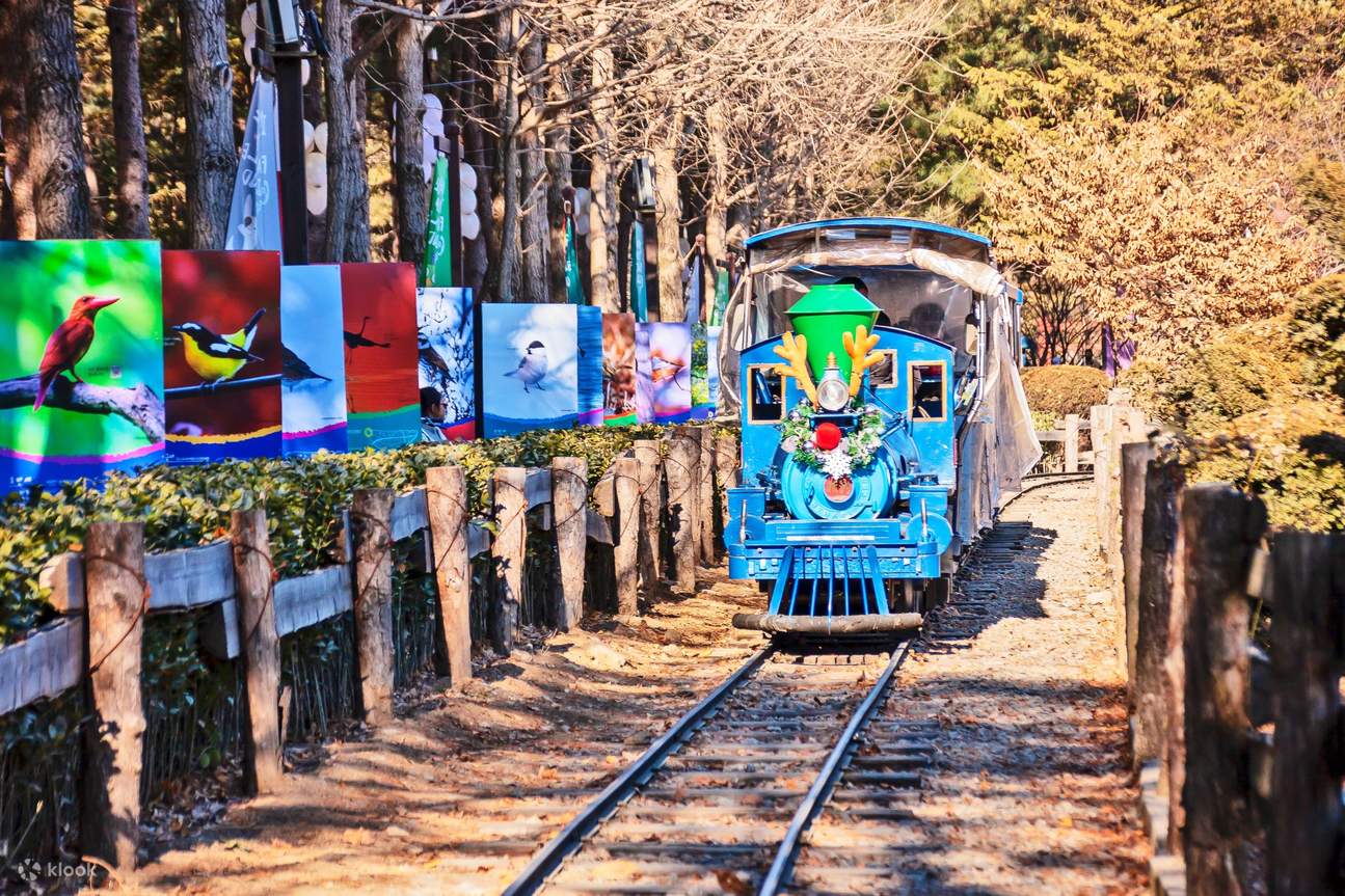 [Special Offer] Nami Island Admission with Restaurants & Activities - Klook